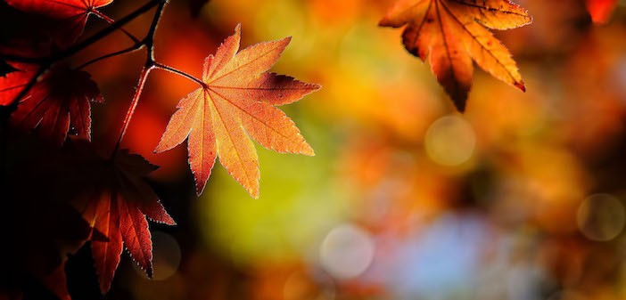 Summer is ending and with it goes the summer dress code for staff ...