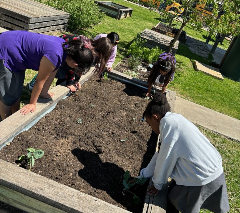 Cultivating creativity and life skills at Solar Prep for Girls | Dallas ...