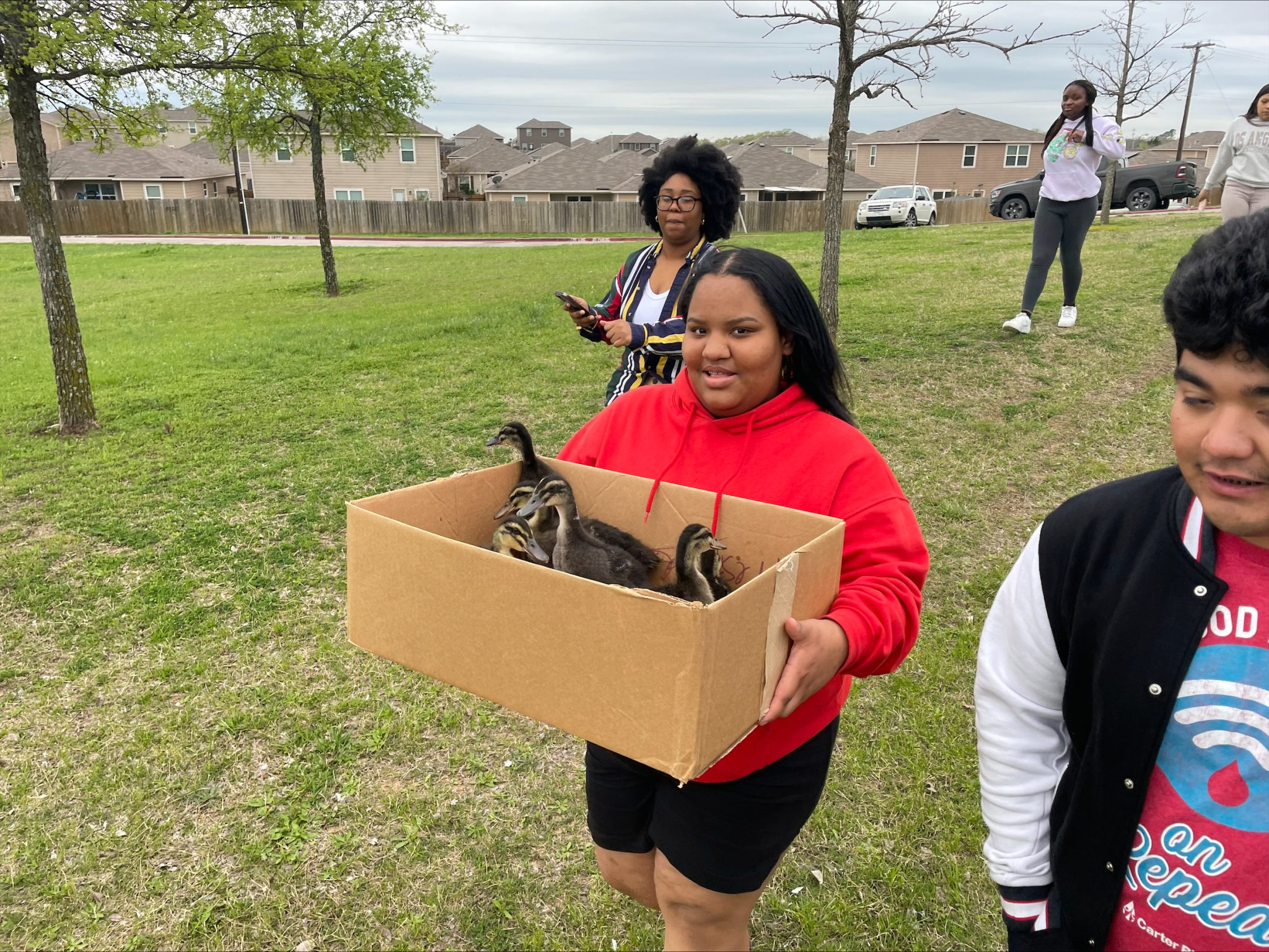 A tale of six ducks, two ponds and a creative high school teacher ...